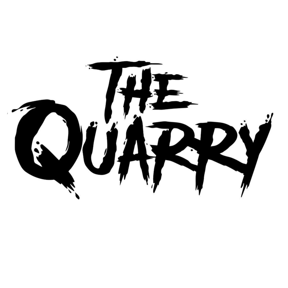 Купить ☘️ THE QUARRY STEAM ☘️ Доступны обновления за 429