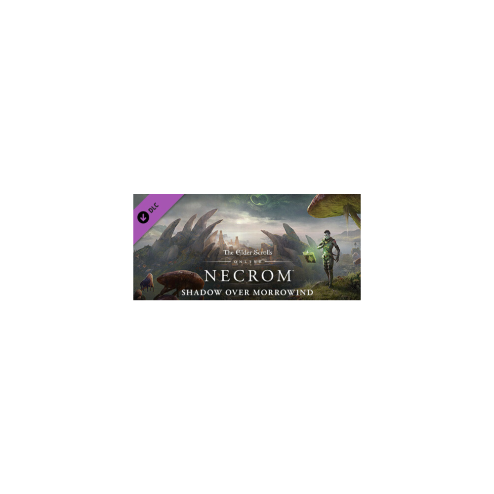 Купить ⚡The Elder Scrolls Online Deluxe Collection: Necrom |РУ за 9809