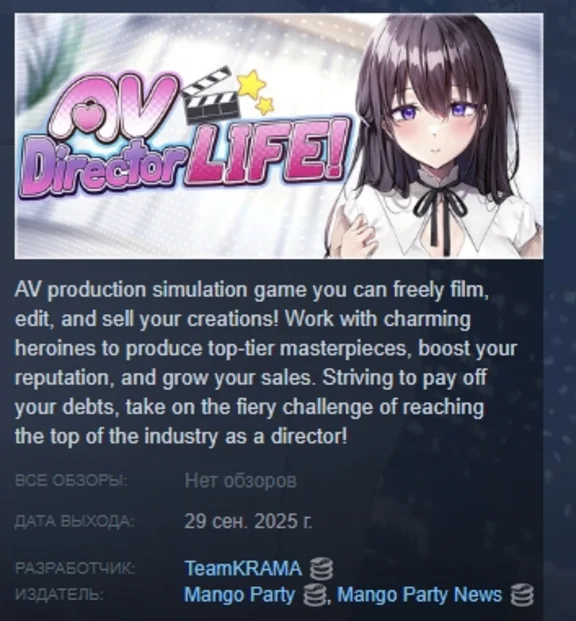 Купить AV Director Life! АВТОДОСТАВКА STEAM РОССИЯ